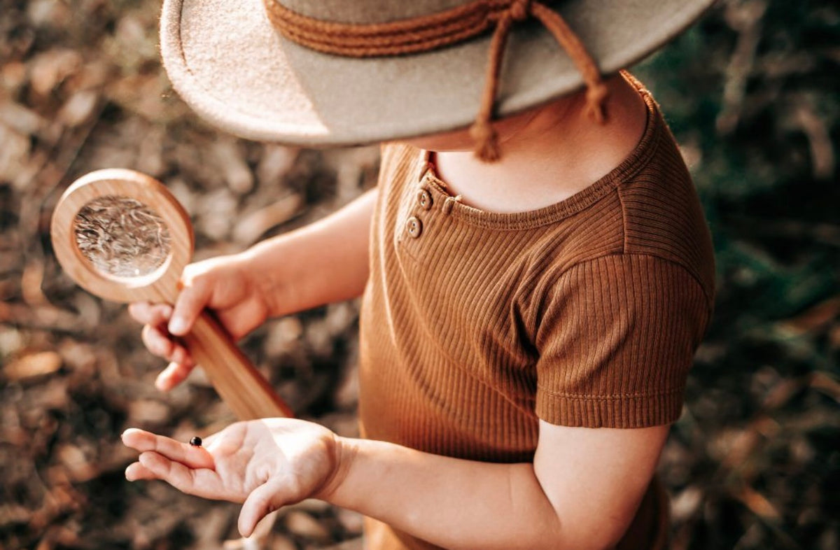 Shop All – Three Wild Sprouts