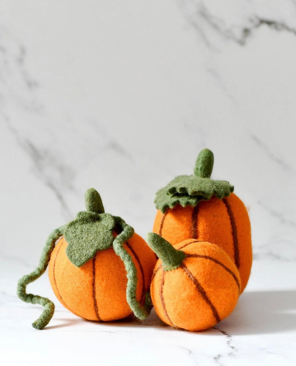 FELT PUMPKINS (SET OF 3) – Three Wild Sprouts