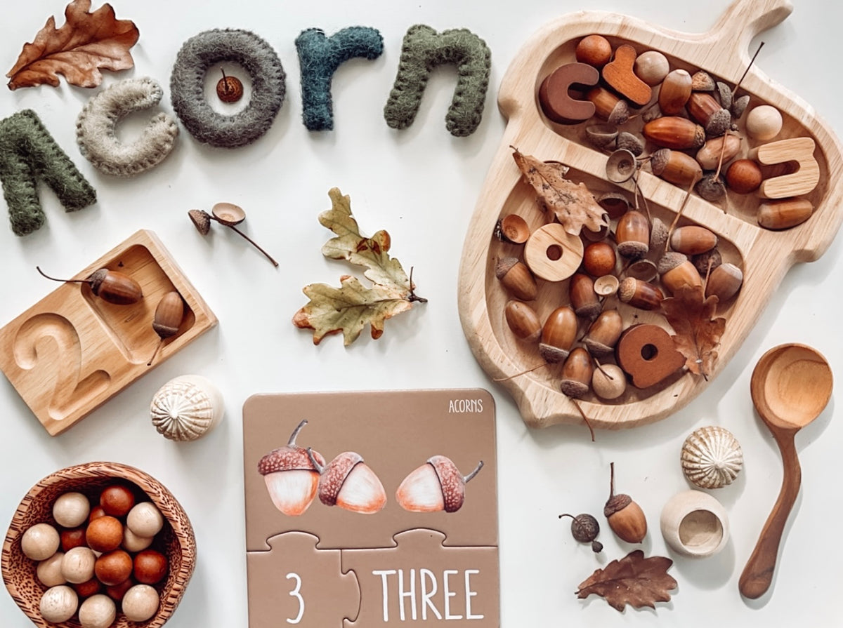 Acorn Tray – Three Wild Sprouts