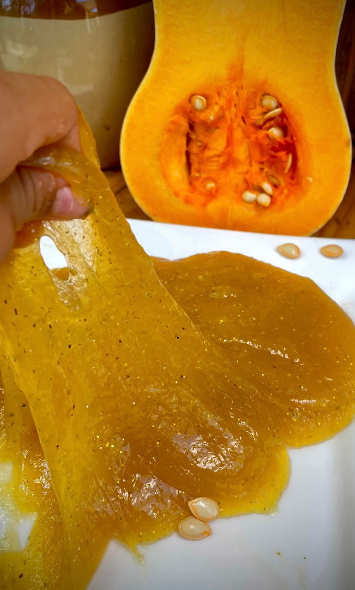 Pumpkin Slime Powder – Three Wild Sprouts