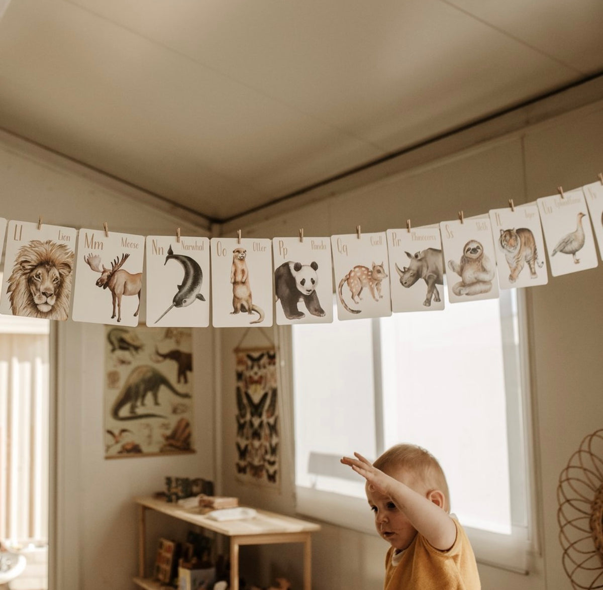 Animal Alphabet Flash Cards – Three Wild Sprouts