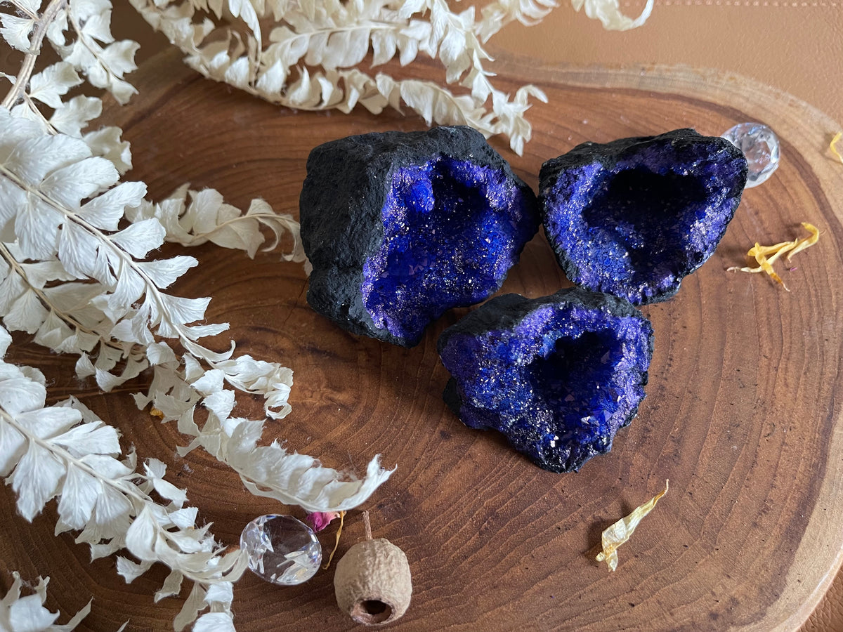 Blue Quartz Geode (half) – Three Wild Sprouts